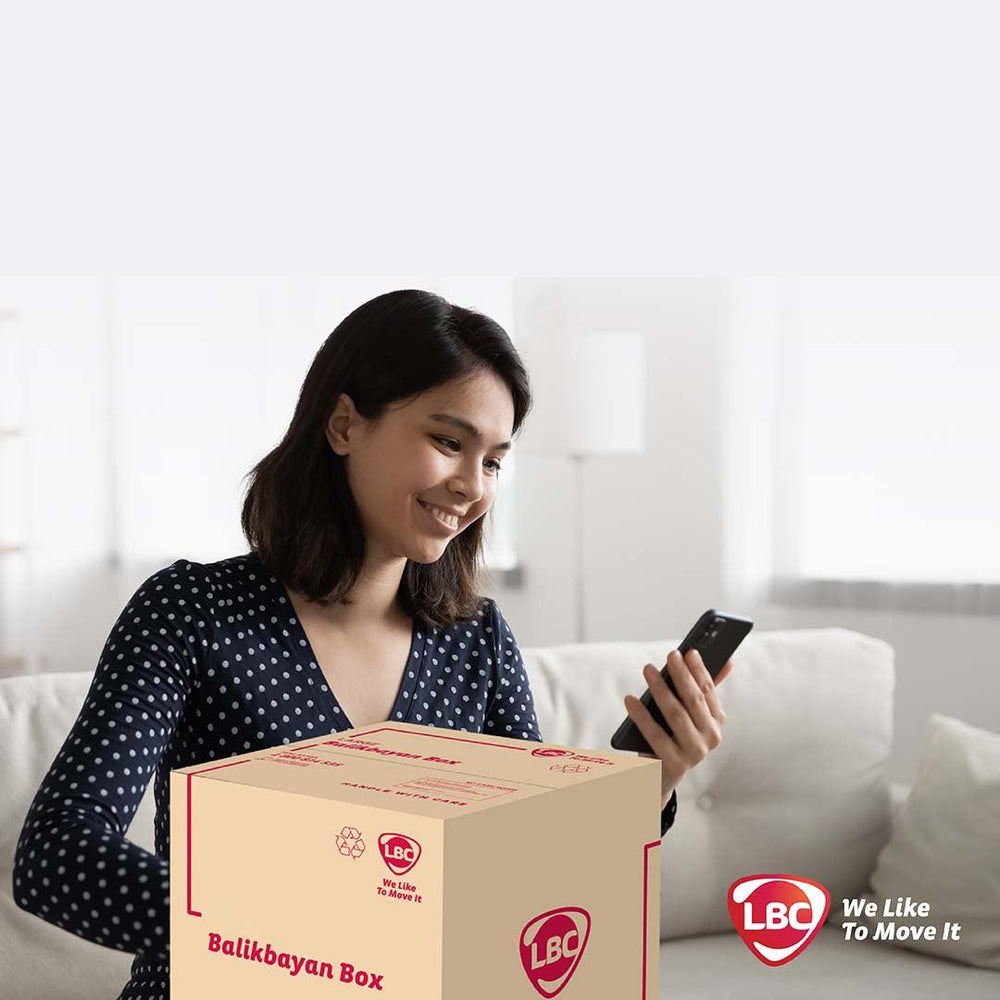 LBC Cargo Box Extra Large - (53x71x91cm) – Pinoyhyper