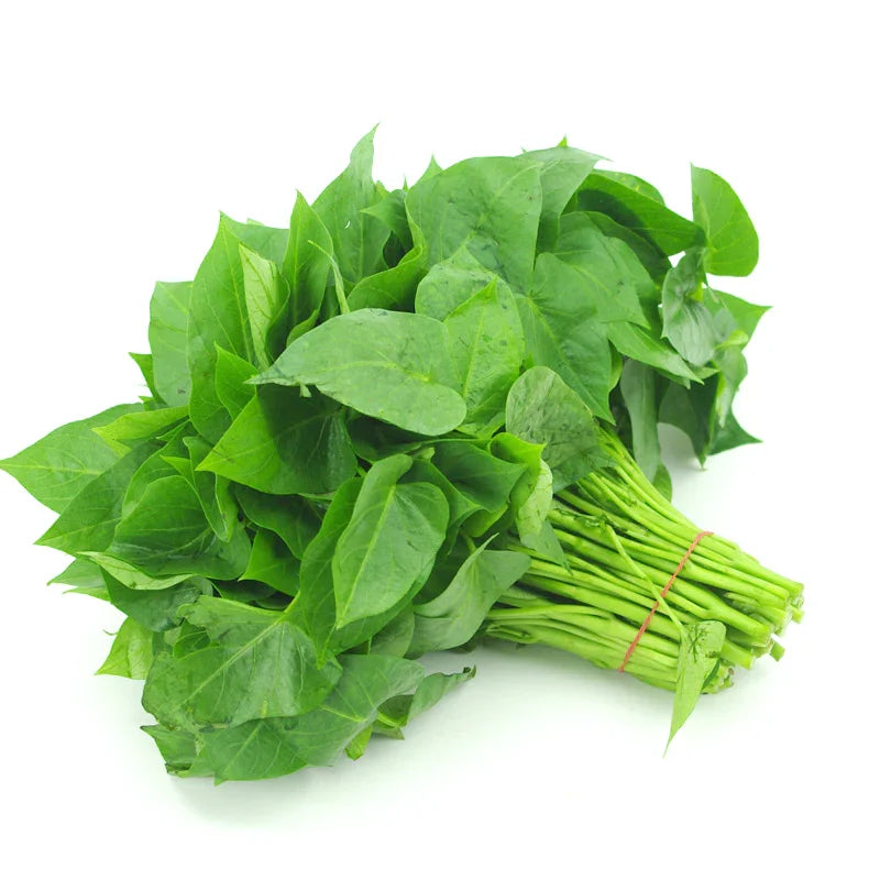 Sweet Potato Leaves (Talbos Ng Kamote) - Bunch – Pinoyhyper