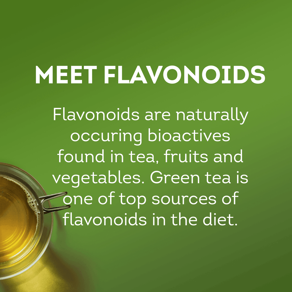 Lipton Lemon Green Tea 25 Bags – Pinoyhyper