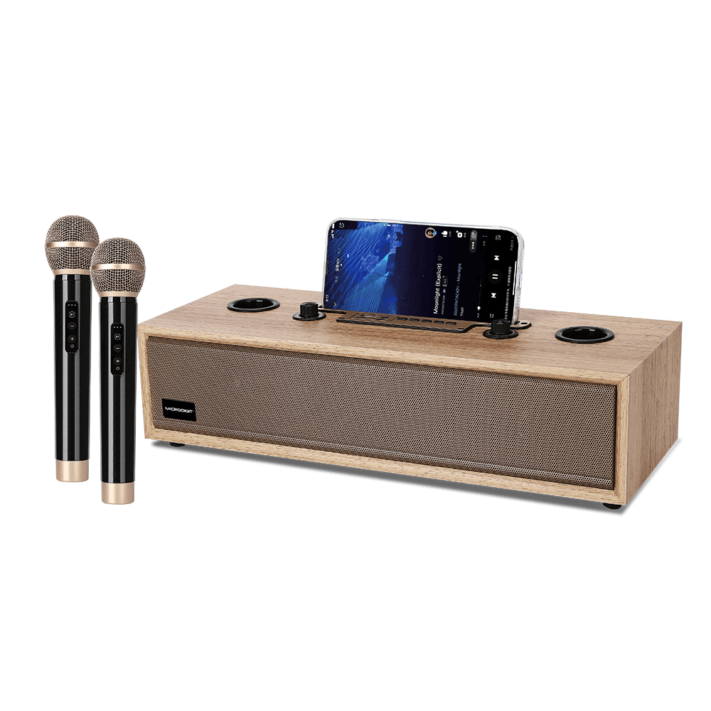 Microdigit Double Mic Karaoke Portable BT Speaker With Microphone ...