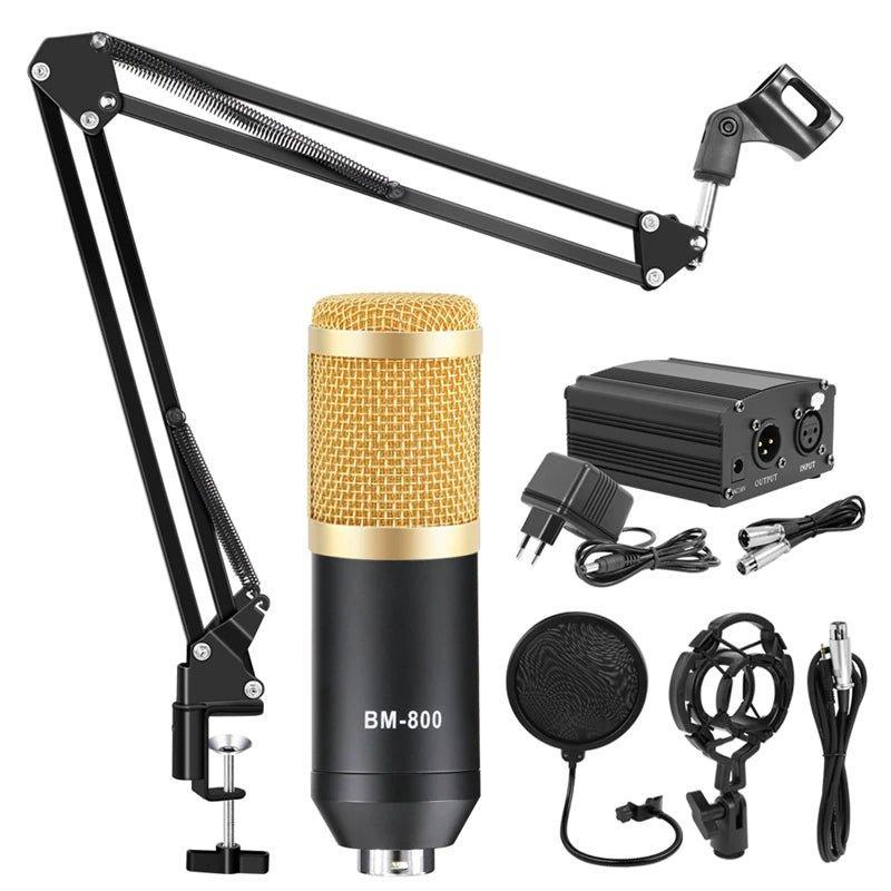 Condenser Microphone Professional stage Mic Set – Pinoyhyper