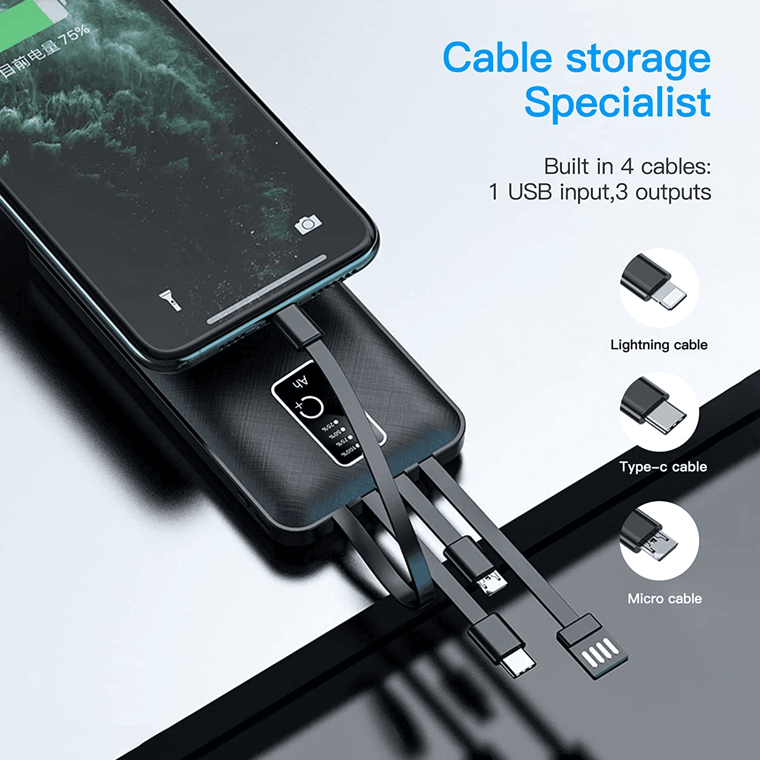 Premium Power Bank 10000mAh Z-PP01 – Pinoyhyper