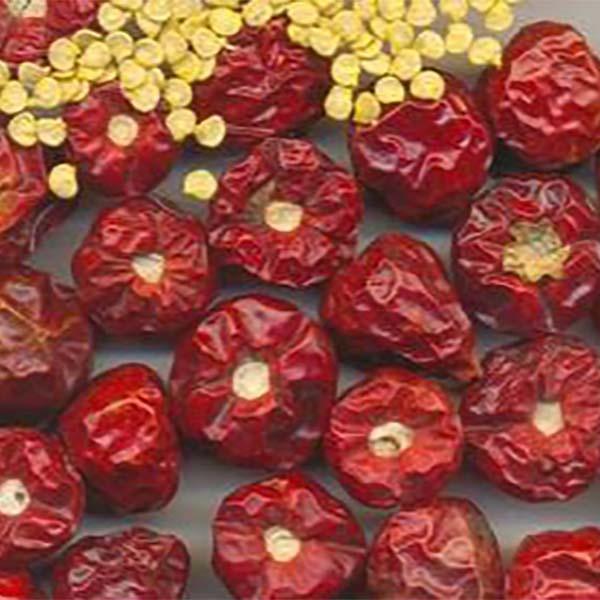 Round Chilly Whole 200g – Pinoyhyper